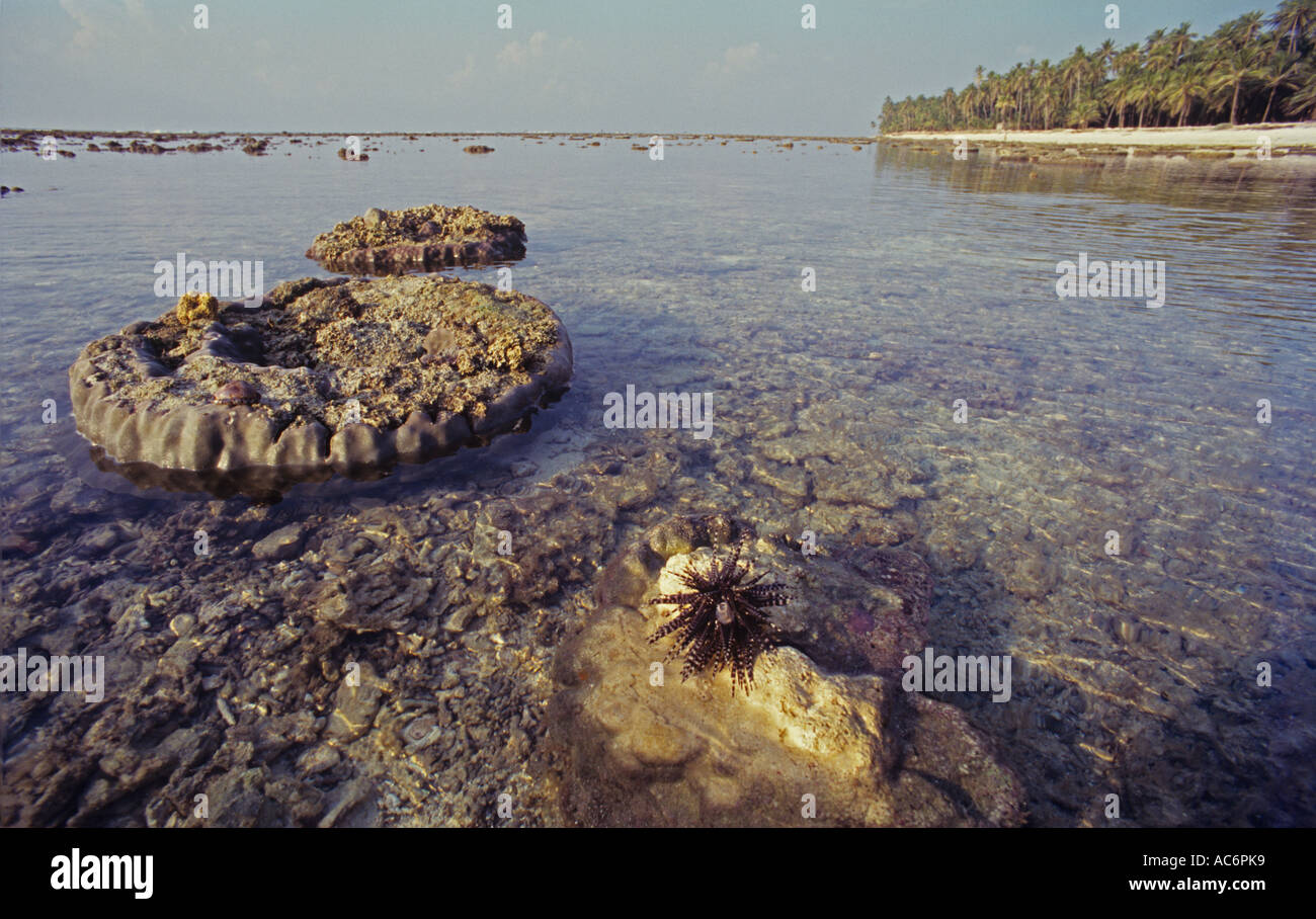 Andrott island hi-res stock photography and images - Alamy