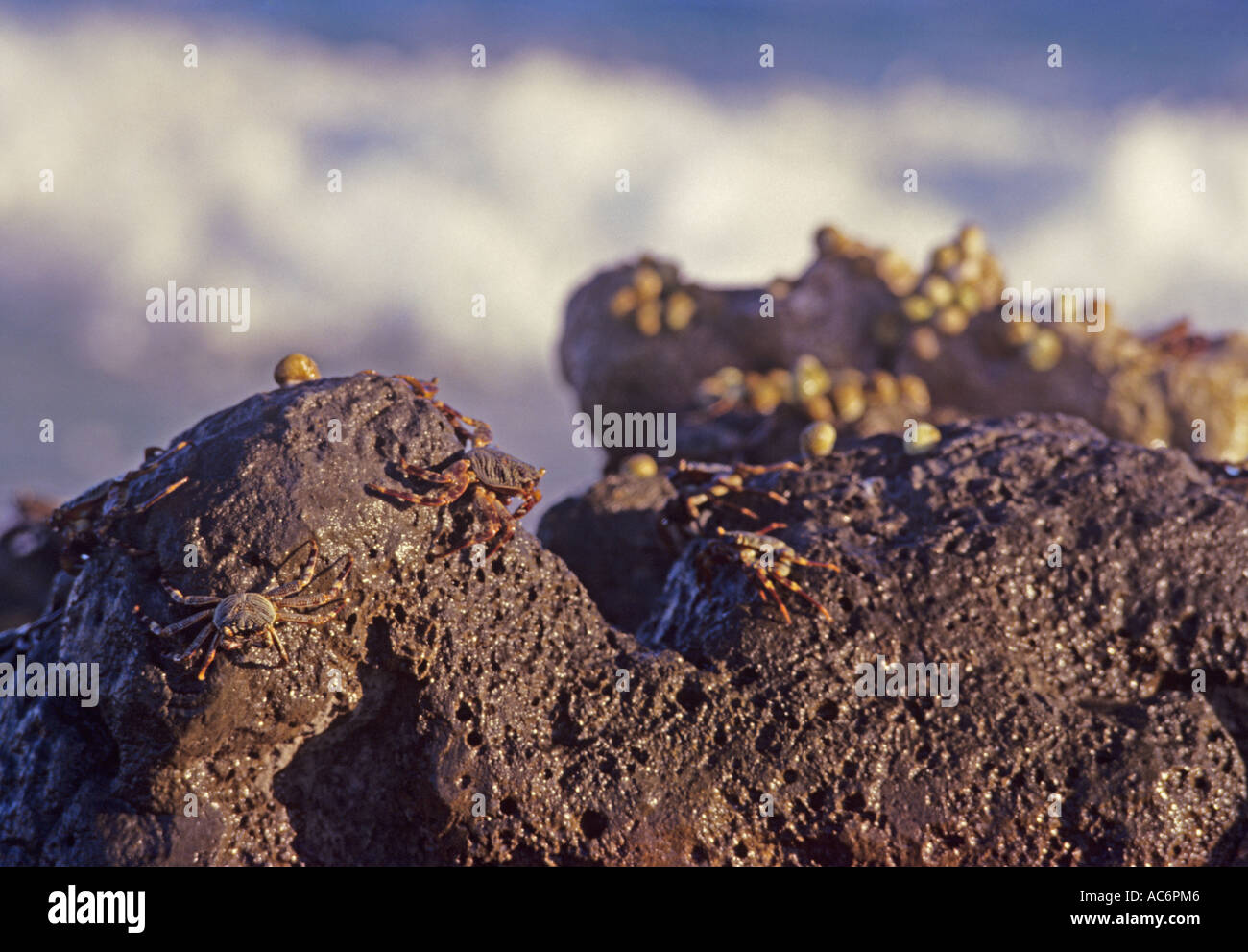 Andrott island hi-res stock photography and images - Alamy