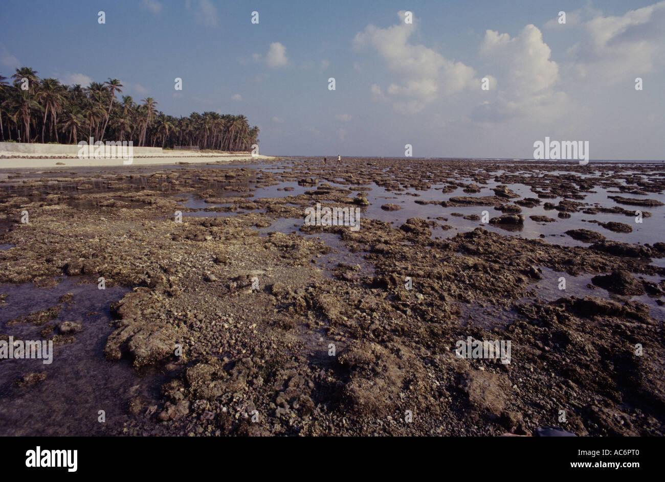 Andrott island hi-res stock photography and images - Alamy