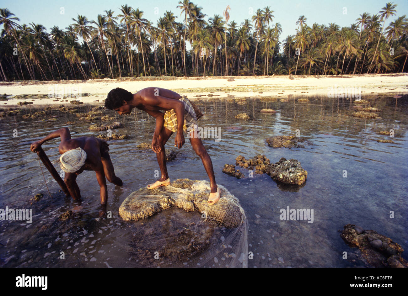 VILLAGERS FISHING FOR OCTOPUS DURING LOW TIDE ANDROTT Stock Photo - Alamy