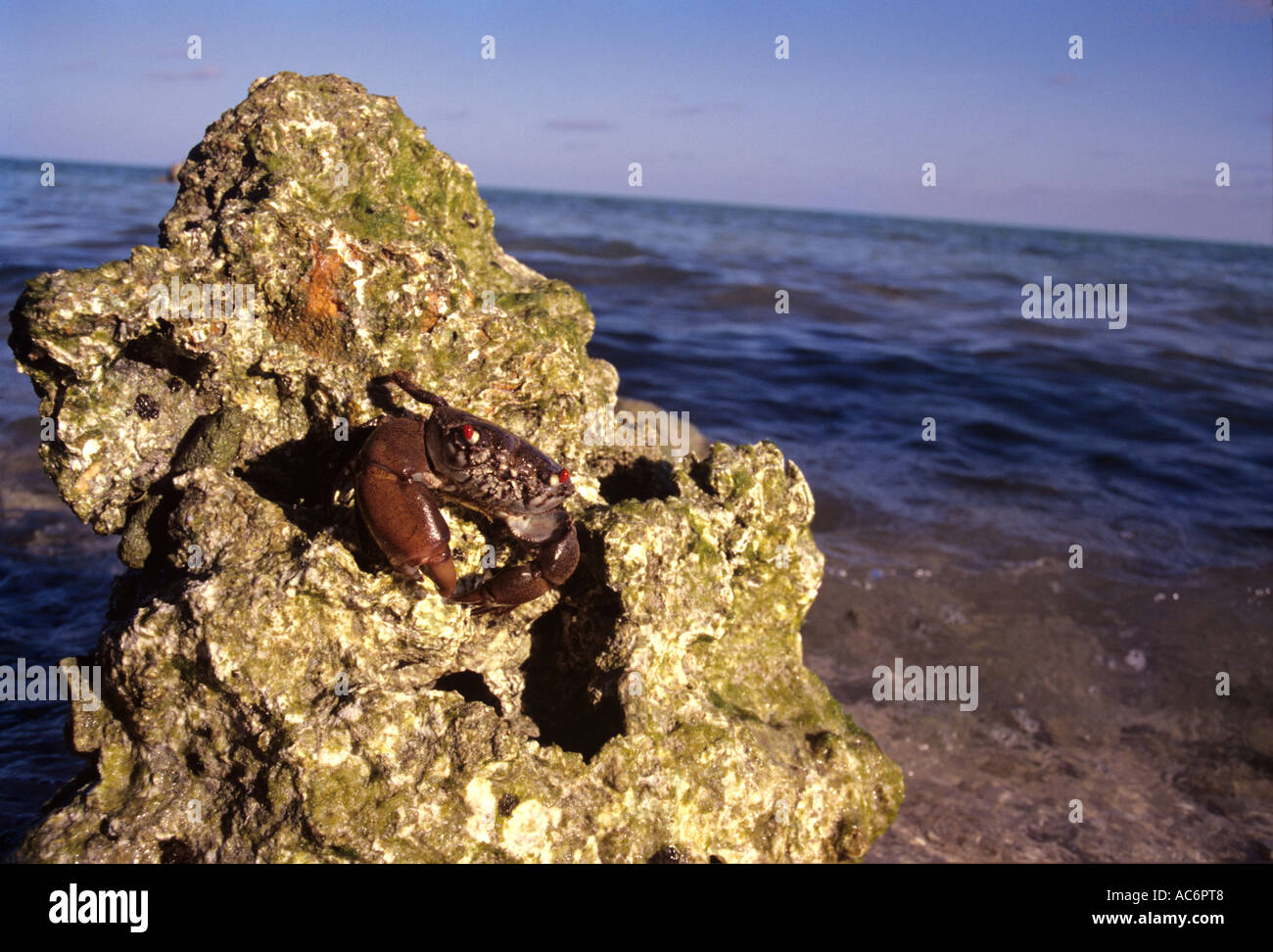 Andrott island hi-res stock photography and images - Alamy