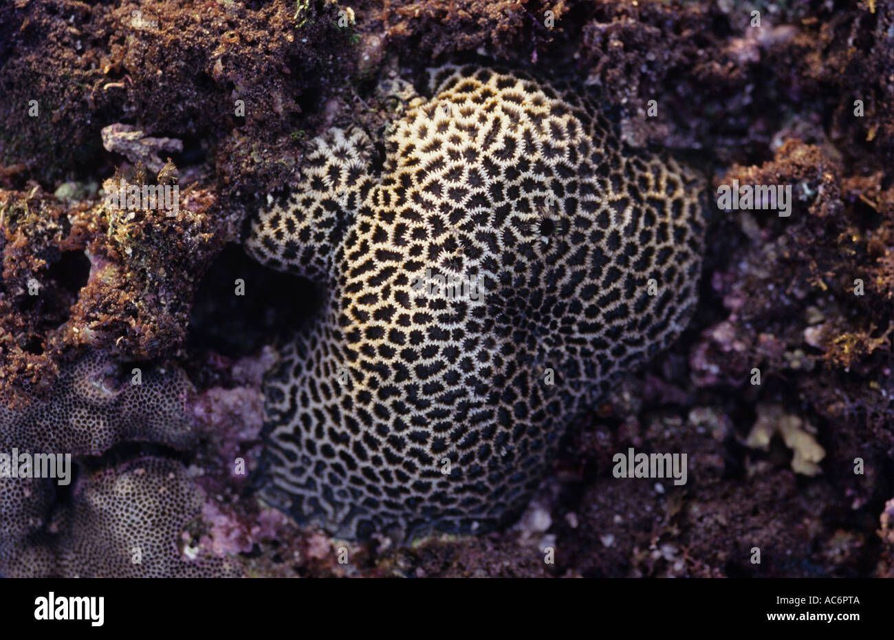 Andrott island hi-res stock photography and images - Alamy