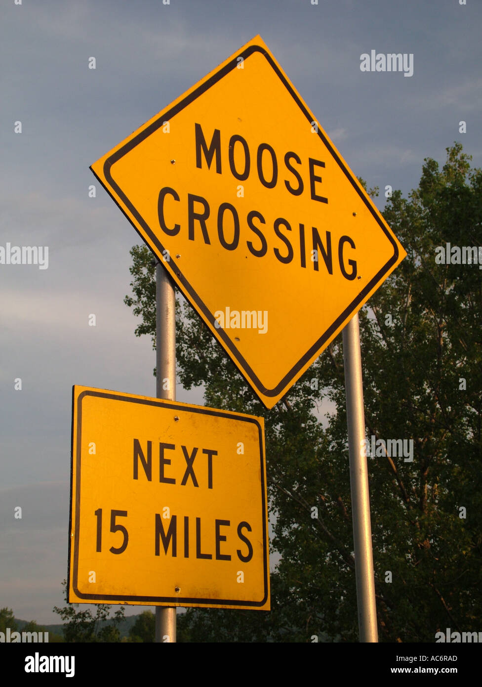 AJD43015, road signs, Moose Crossing Stock Photo - Alamy