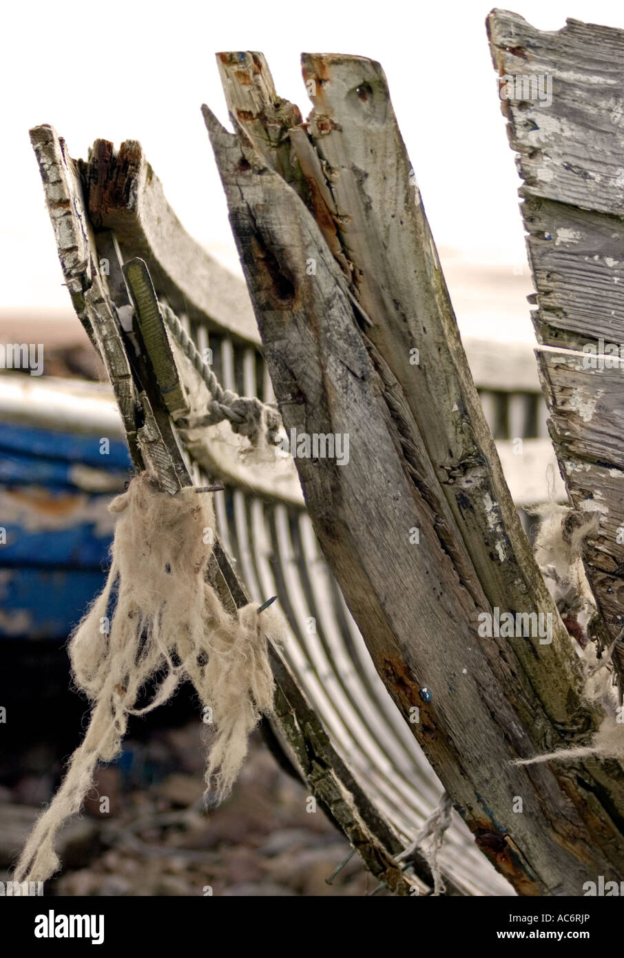 Animal skin hanging on wrecked wooden boat Stock Photo - Alamy