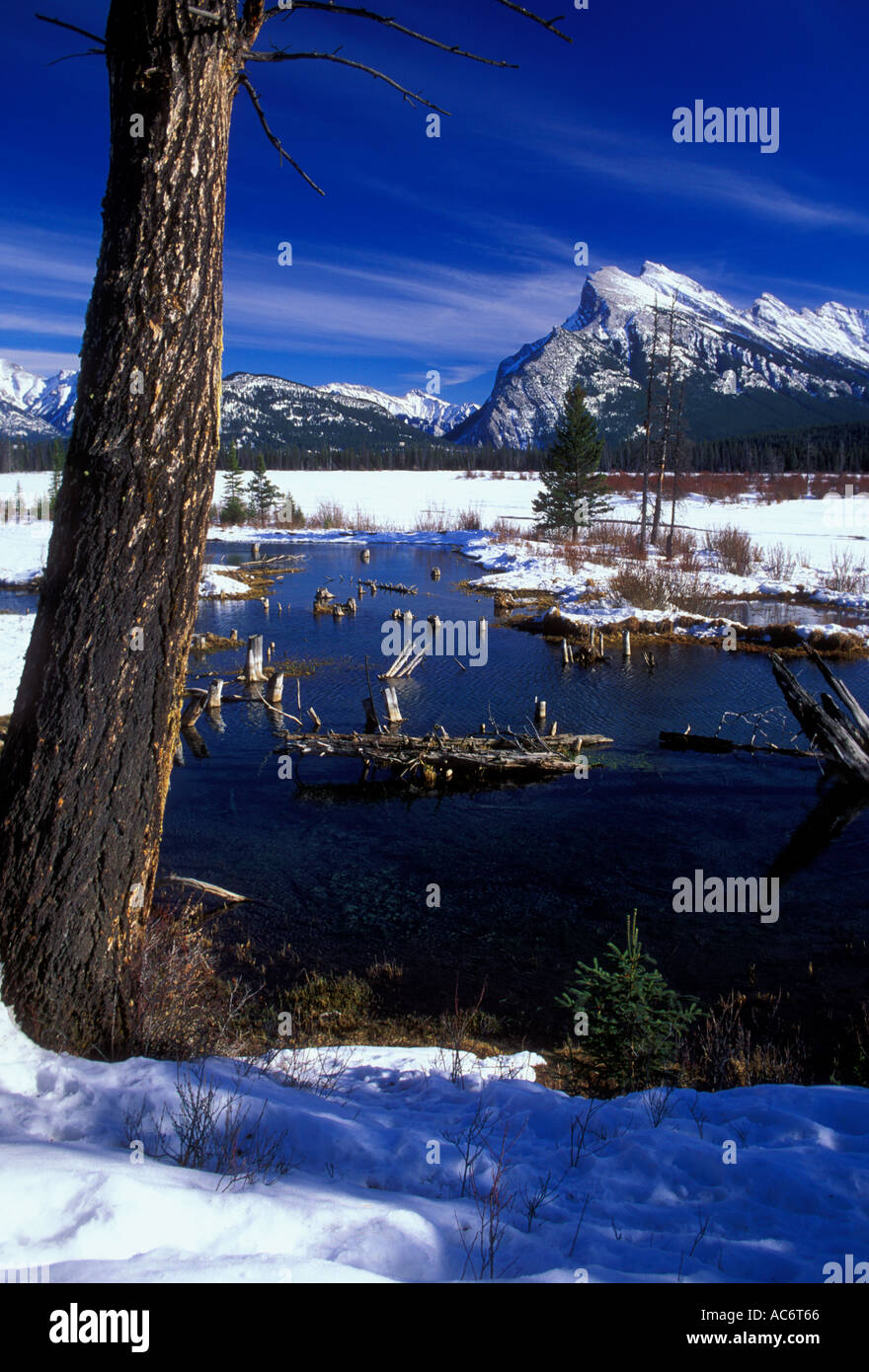 Second Vermillion Lake and Mount Rundle winter landscape in Banff ...