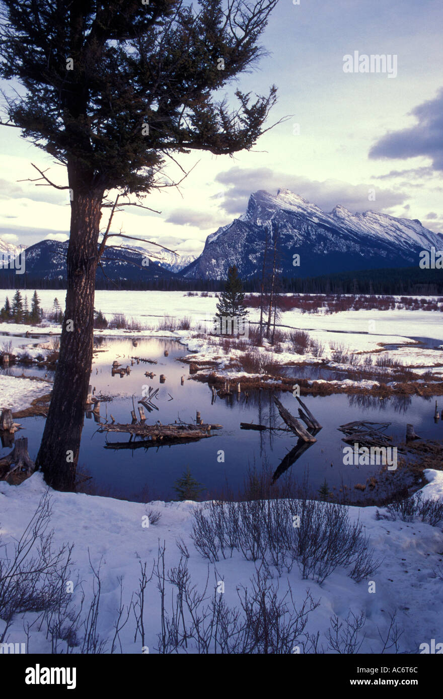 Second Vermillion Lake and Mount Rundle winter landscape in Banff ...