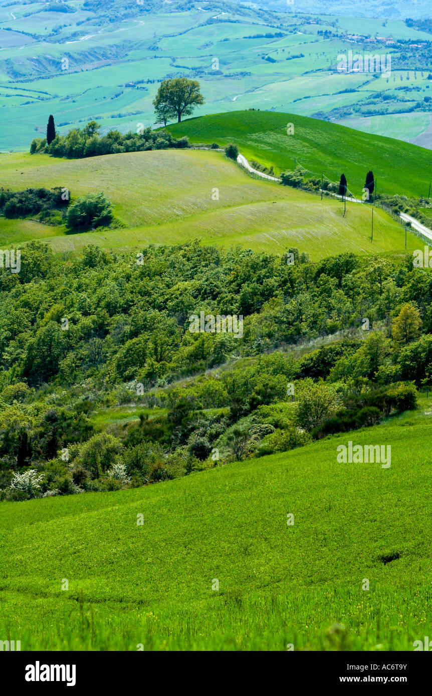 Rural countryside landscape in Tuscany region of Italy Stock Photo - Alamy