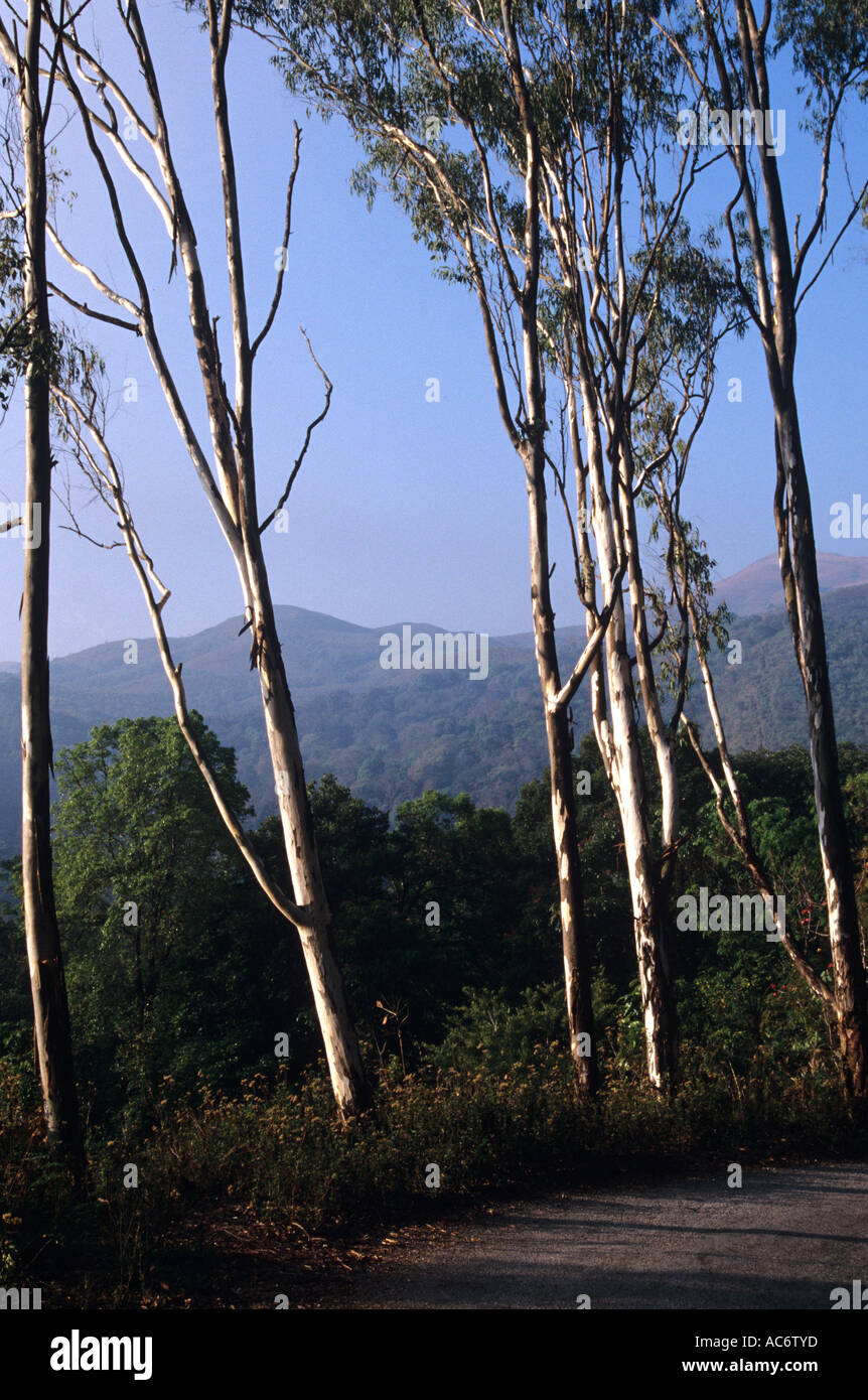 LANDSCAPE IN KARNATAKA Stock Photo - Alamy