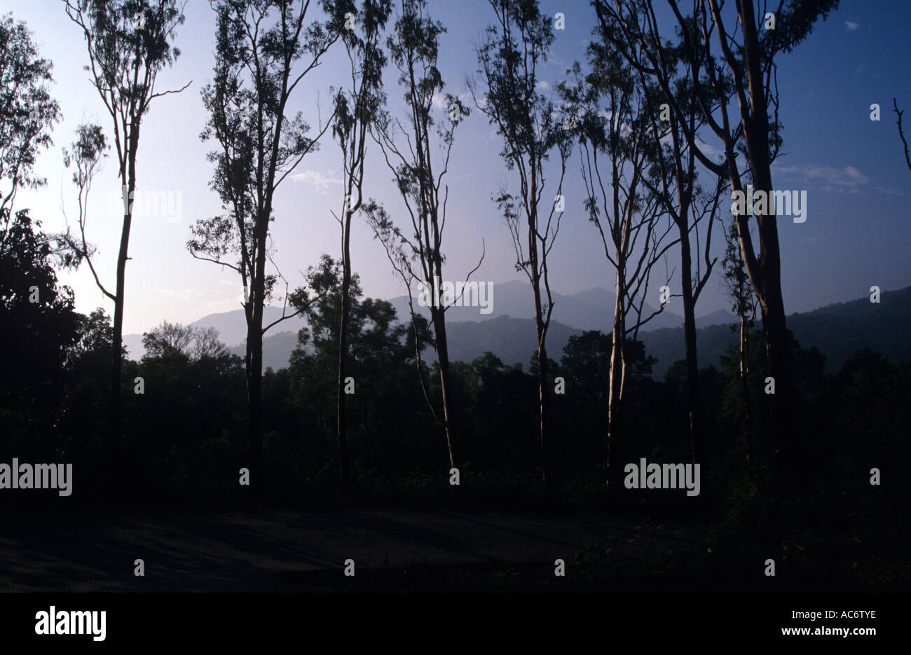 LANDSCAPE IN KARNATAKA Stock Photo - Alamy
