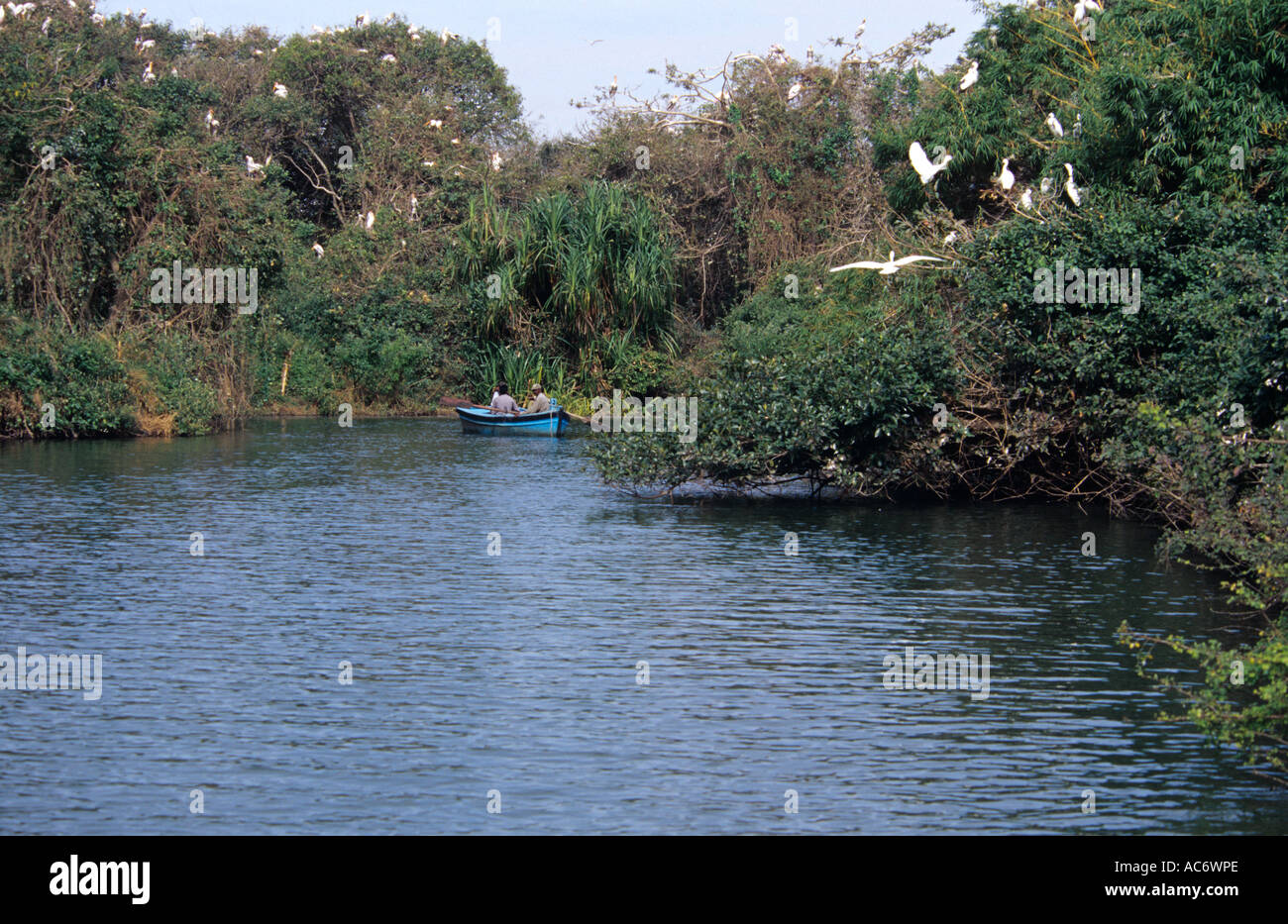 LANDSCAPE IN KARNATAKA Stock Photo - Alamy