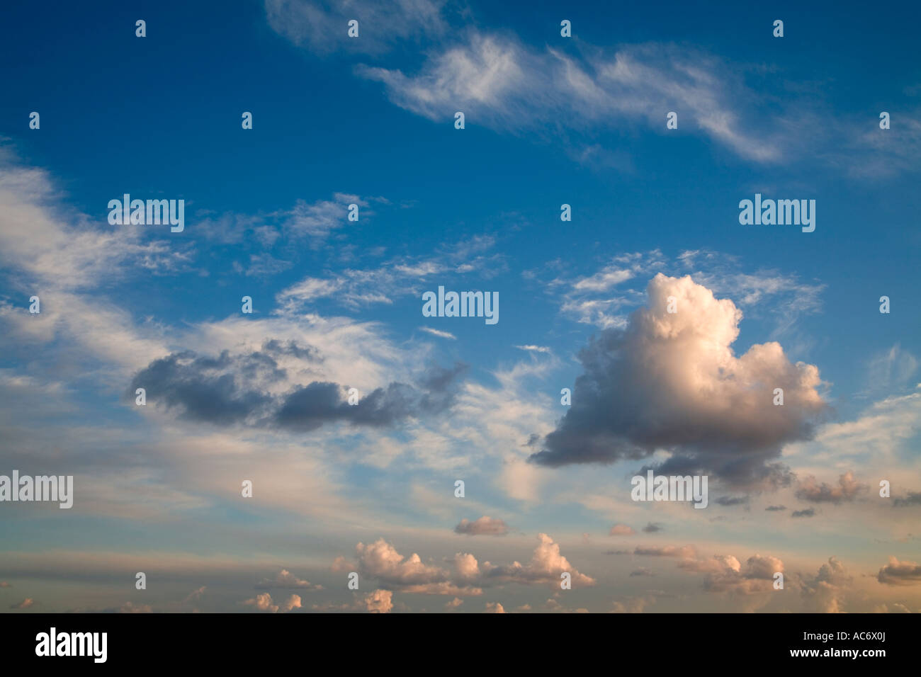 Fluffy white cloud in sky soon before dusk Stock Photo - Alamy