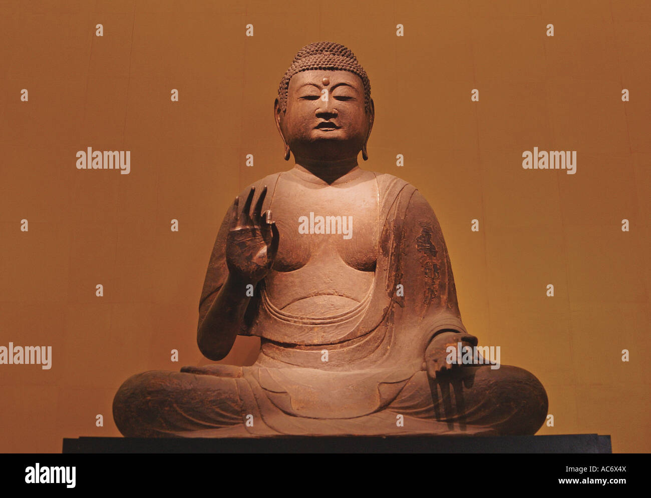 Buddha of the western paradise hi-res stock photography and images - Alamy