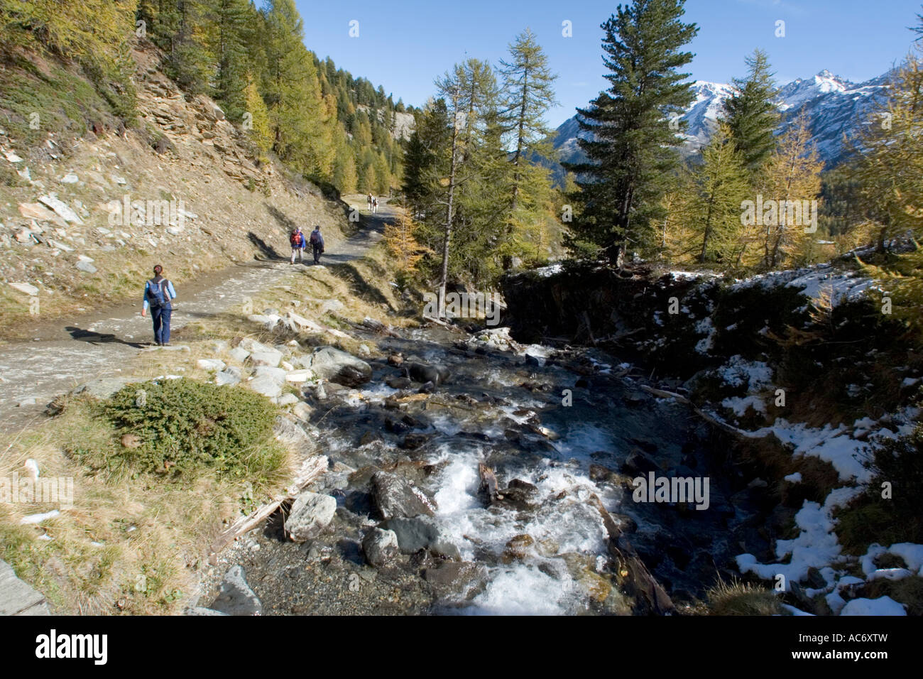 Walking by a mountain stream, Martell valley, Alto Adige, Italy Stock ...