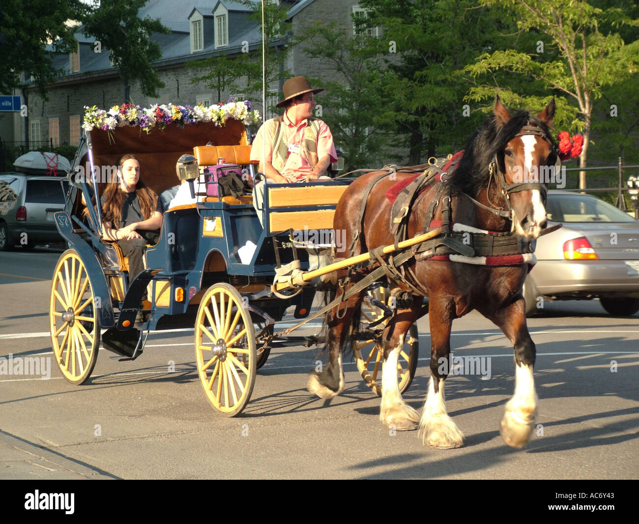 Horse drawn carriage montreal quebec canada hi-res stock photography ...