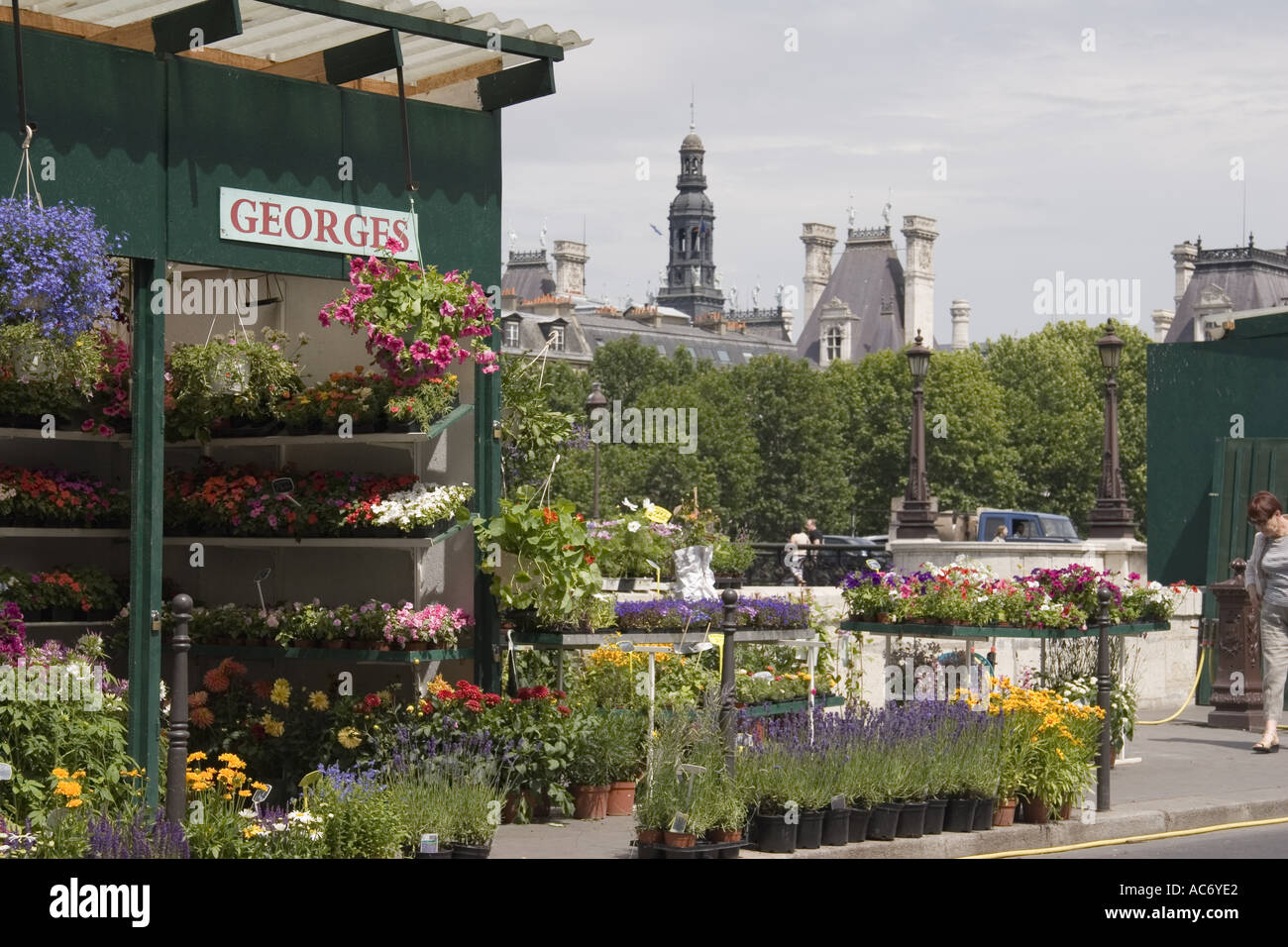 Marche aux fleurs paris hi-res stock photography and images - Alamy