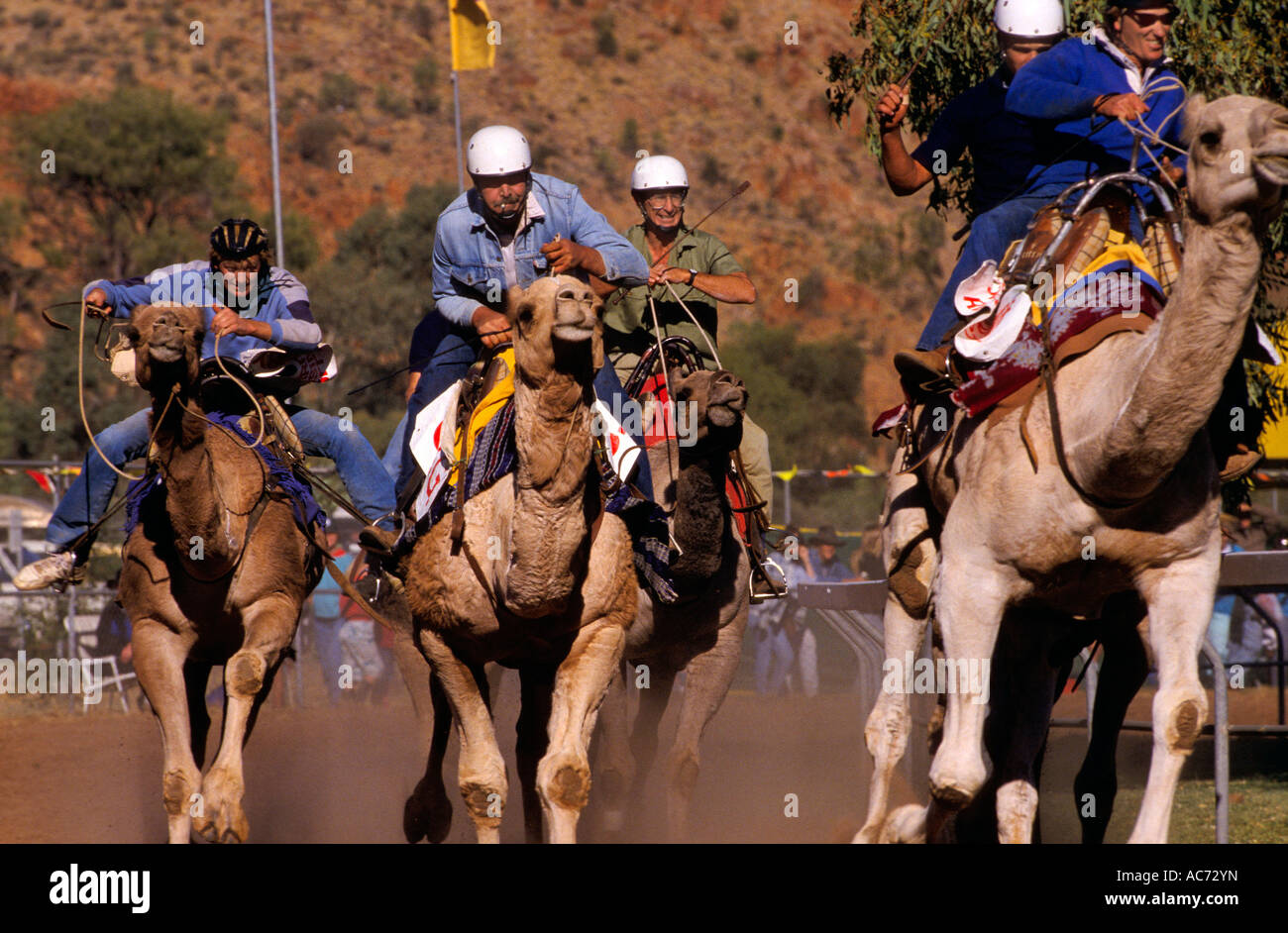 Orangeannual hi-res stock photography and images - Alamy