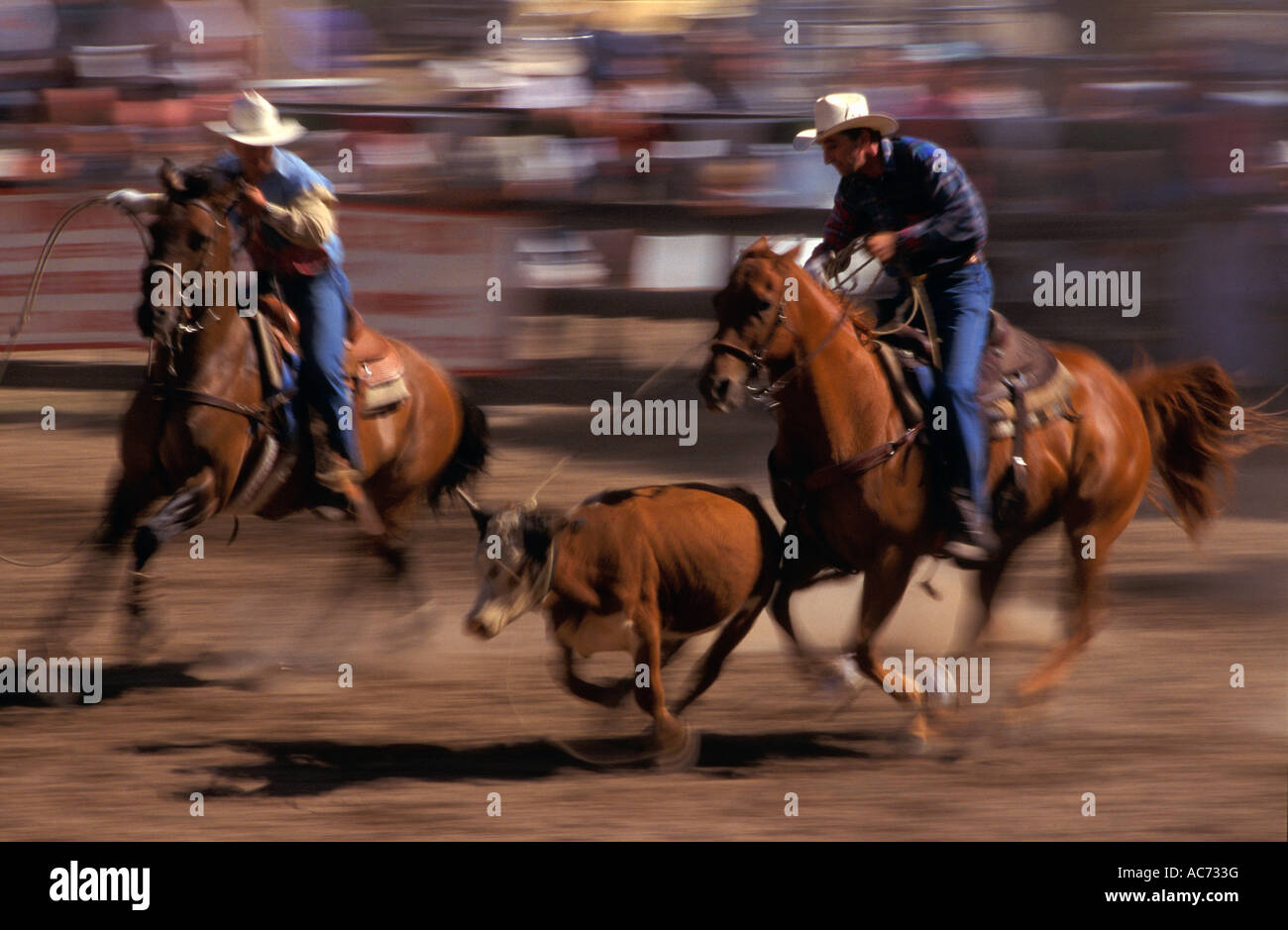 Merrijig Rodeo, Victoria, Australia, Horizontal Stock Photo - Alamy