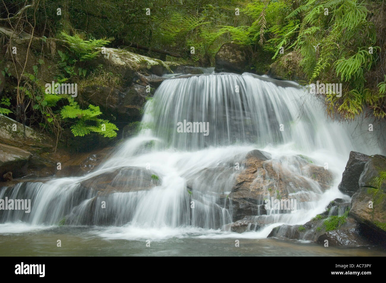 Madagascar, Mantadia National Park, Waterfall Stock Photo - Alamy