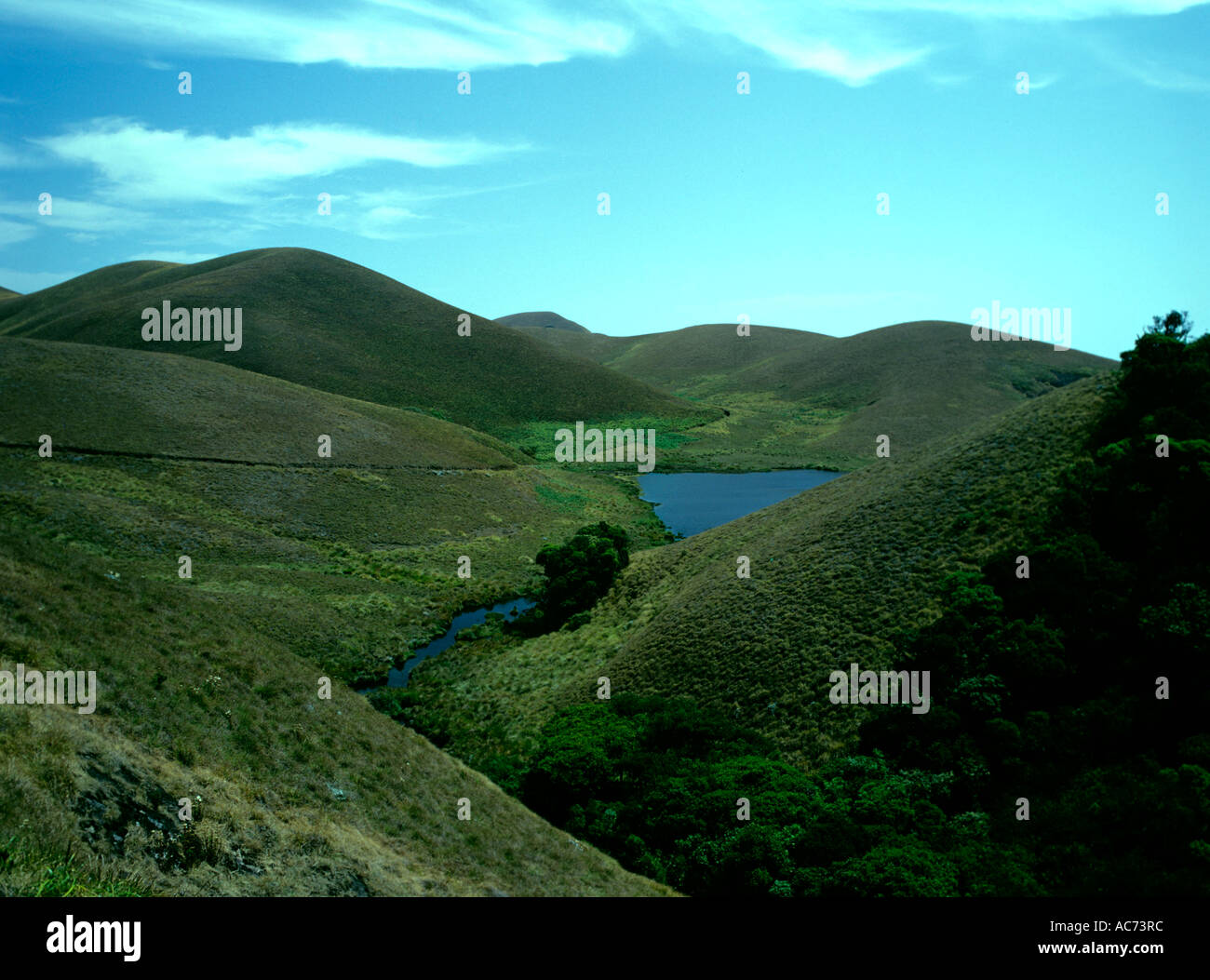 HIGH ALTITUDE MONTANE GRASSLANDS OF ERAVIKULAM Stock Photo - Alamy
