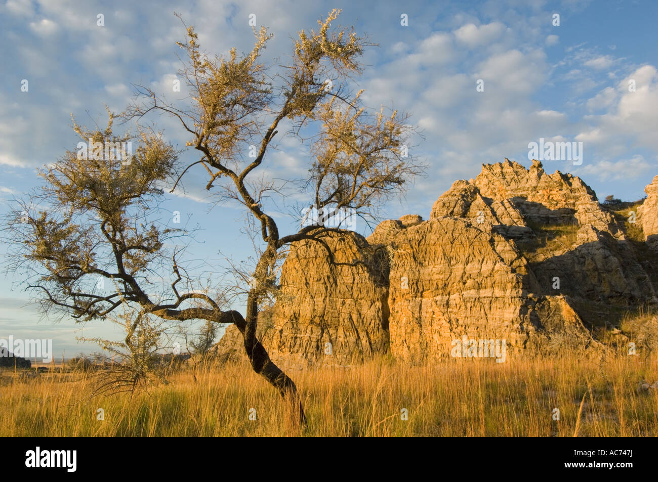 Madagascar, Isalo National Park, Dawn with cliffs and grasslands Stock ...