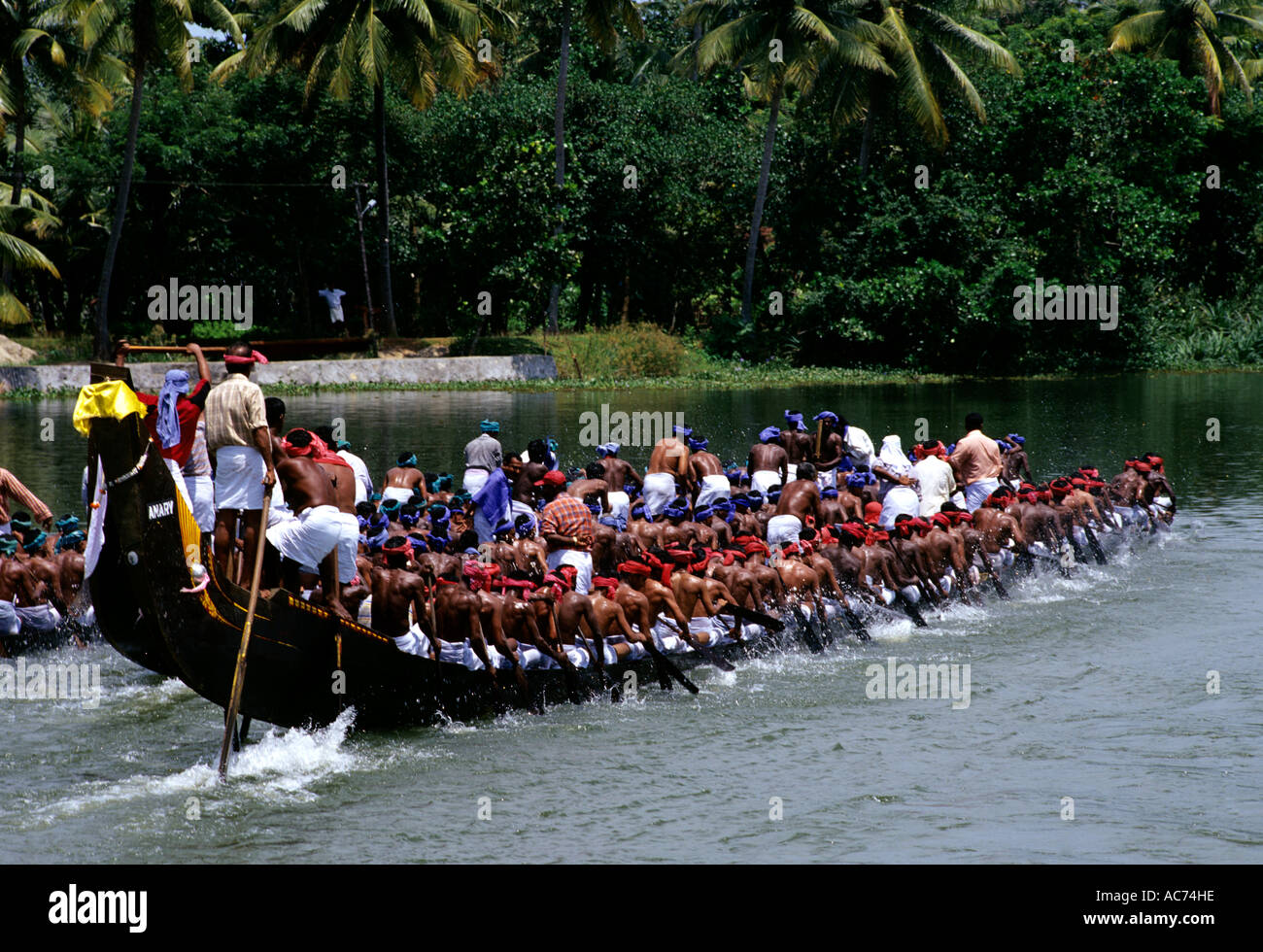 SNAKE BOAT RACE OF KUTTANAD, ALAPPUZHA Stock Photo - Alamy