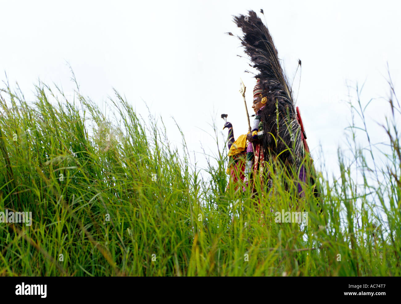 Mayilattam hi-res stock photography and images - Alamy