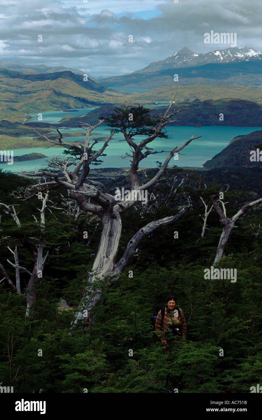 Guindo hi-res stock photography and images - Alamy