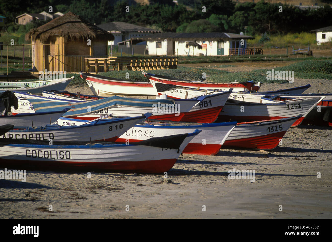 Los molles hi-res stock photography and images - Alamy