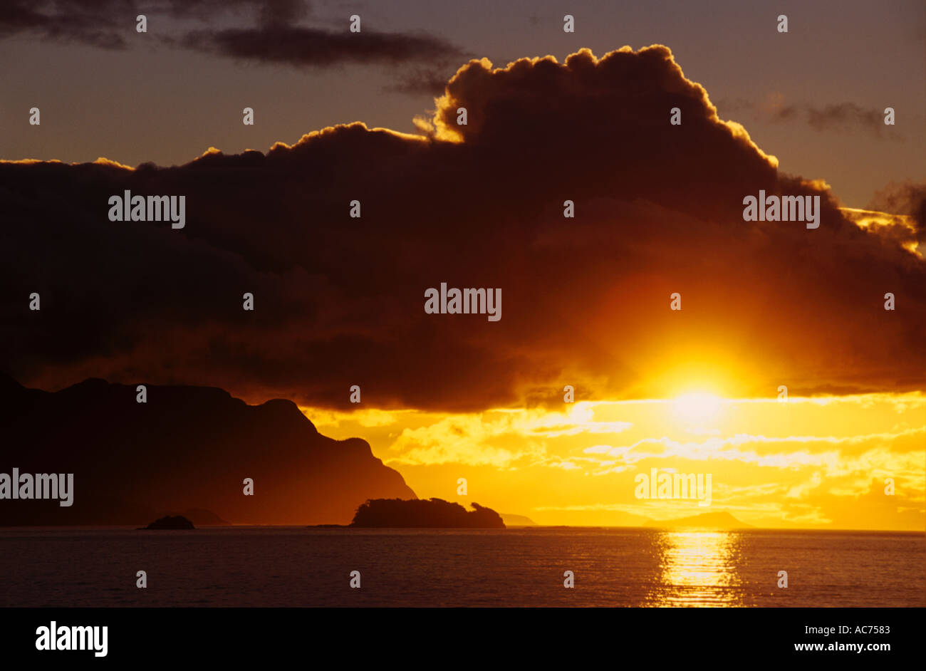 Temperate ocean hi-res stock photography and images - Alamy