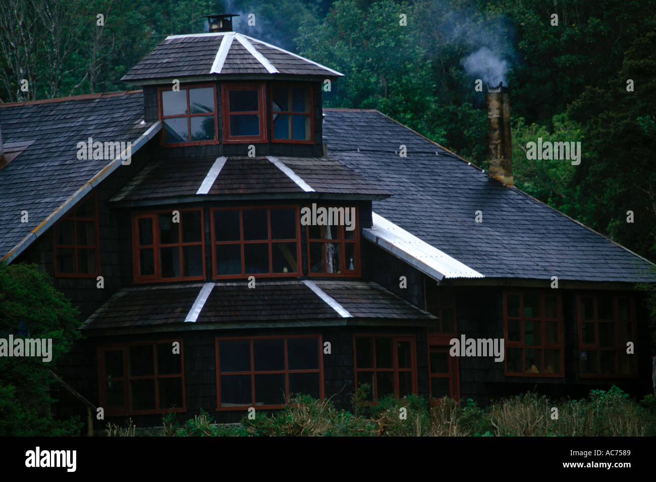 Warm temperate forests hi-res stock photography and images - Alamy