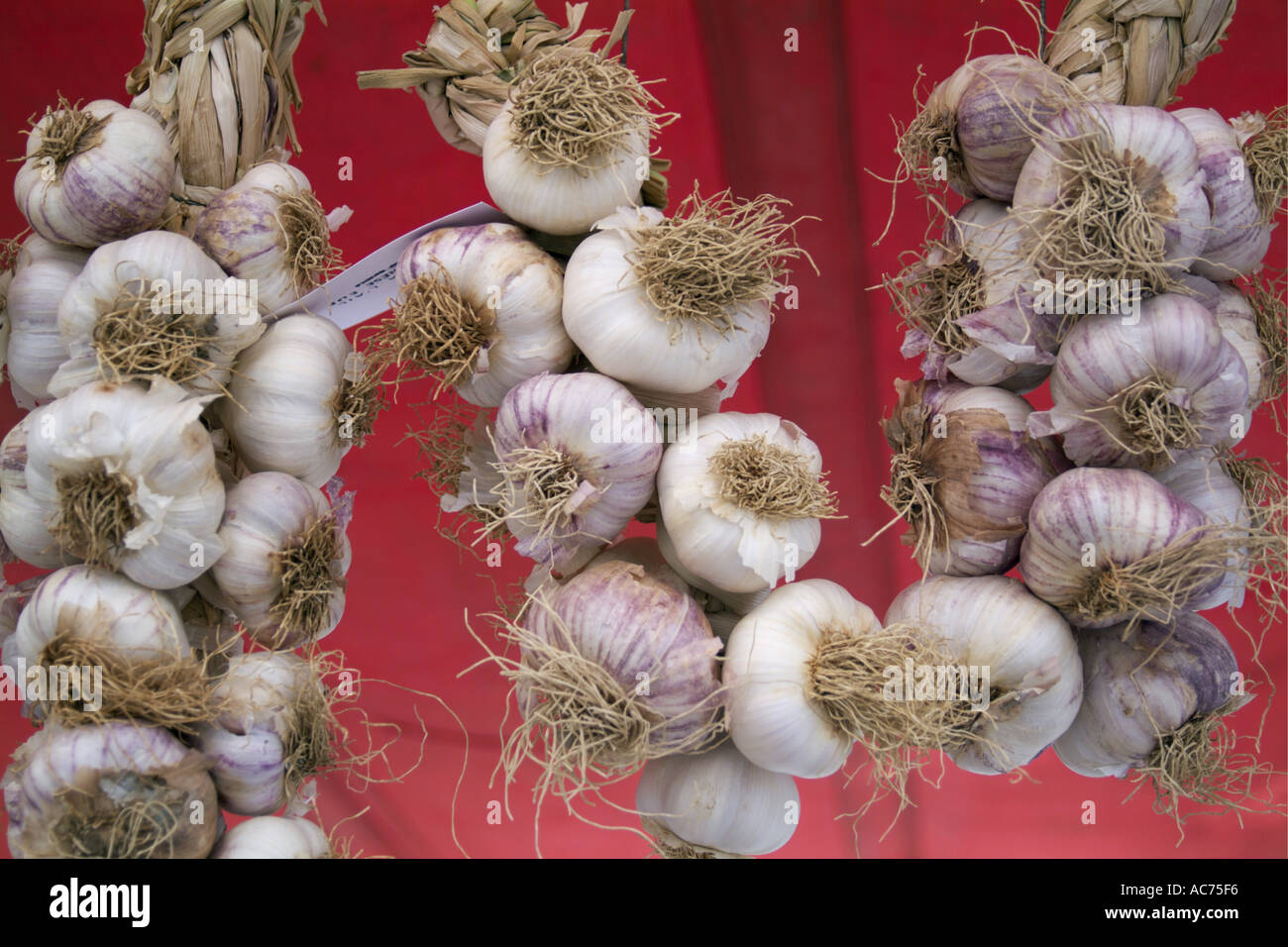 Strings of garlic for sale at a street market on Belsunce Cours ...