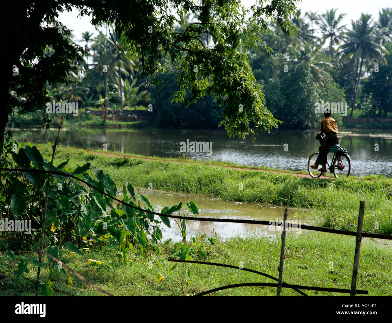 VILLAGE SCENE IN KUTTANAD Stock Photo - Alamy