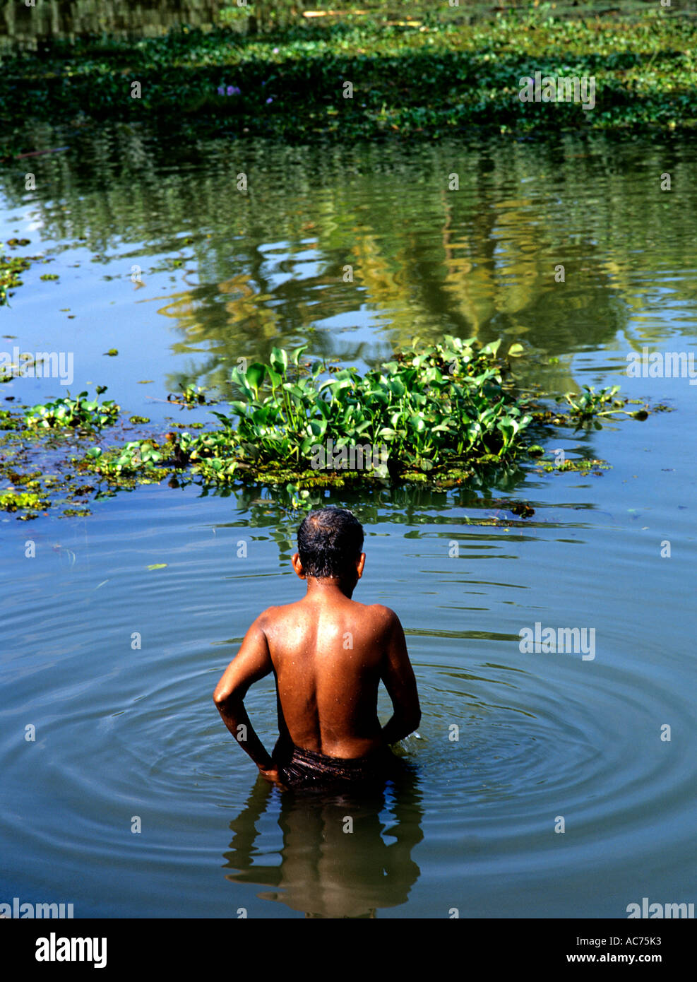MAN TAKING A MORNING BATH KUTTANAD SCENE Stock Photo - Alamy
