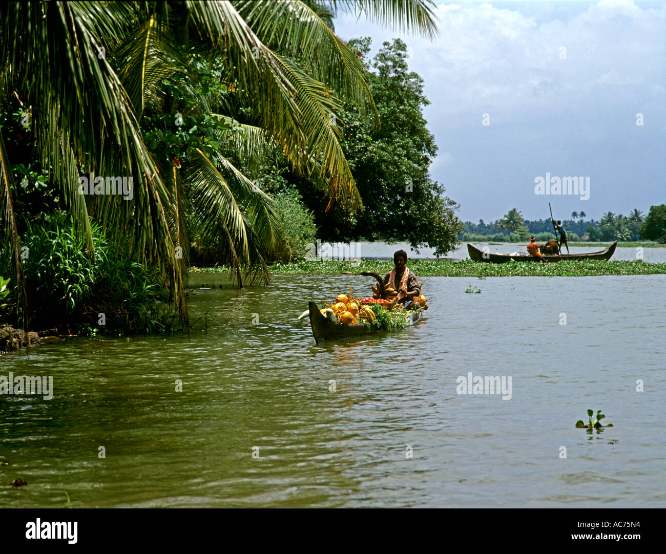 LIFE IN THE BACKWATER REGION OF KUTTANAD ALAPPUZHA Stock Photo - Alamy