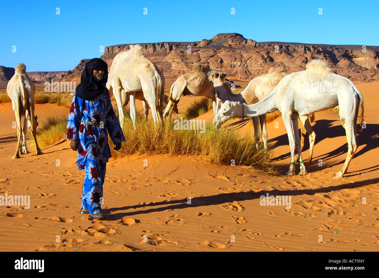 Tuareg habitat hi-res stock photography and images - Alamy