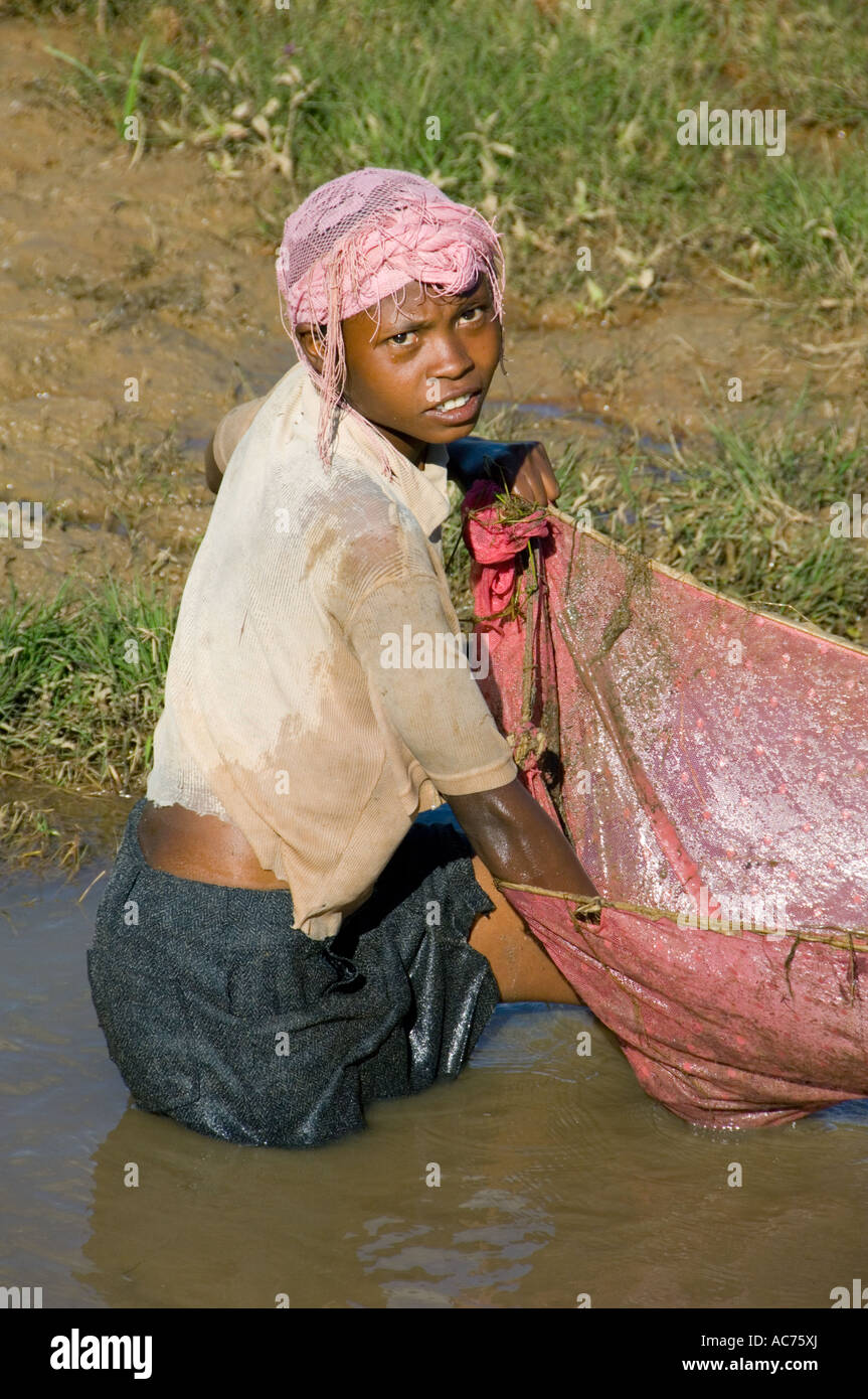 Fishing in rice paddies, young girl, Madagascar Stock Photo - Alamy