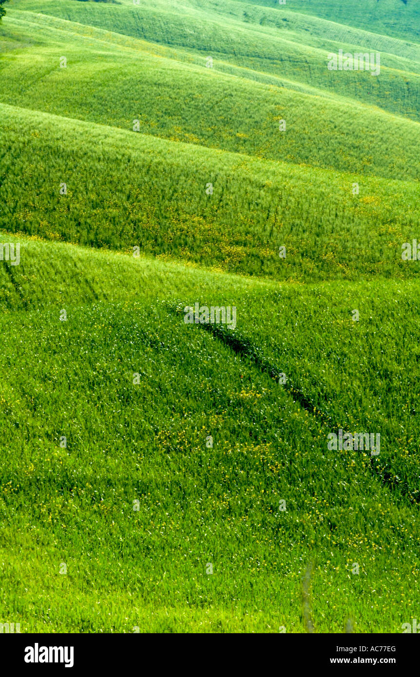 Green hill slope hi-res stock photography and images - Alamy