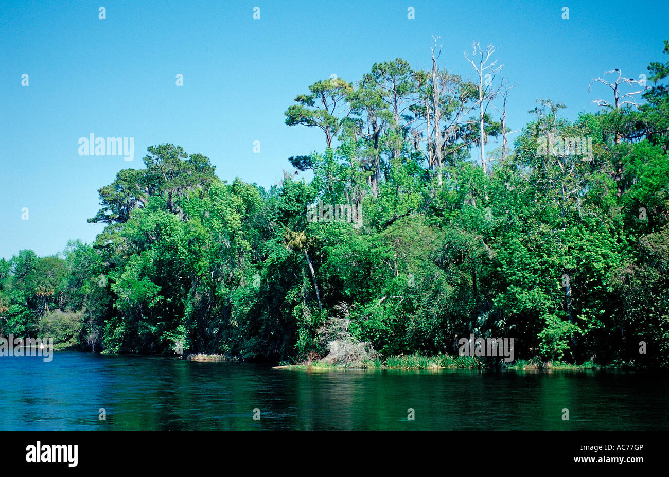 Rainbow river florida hi-res stock photography and images - Alamy