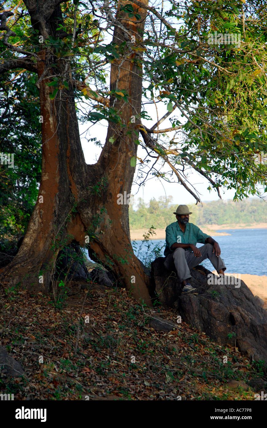 Peechi wildlife sanctuary hi-res stock photography and images - Alamy