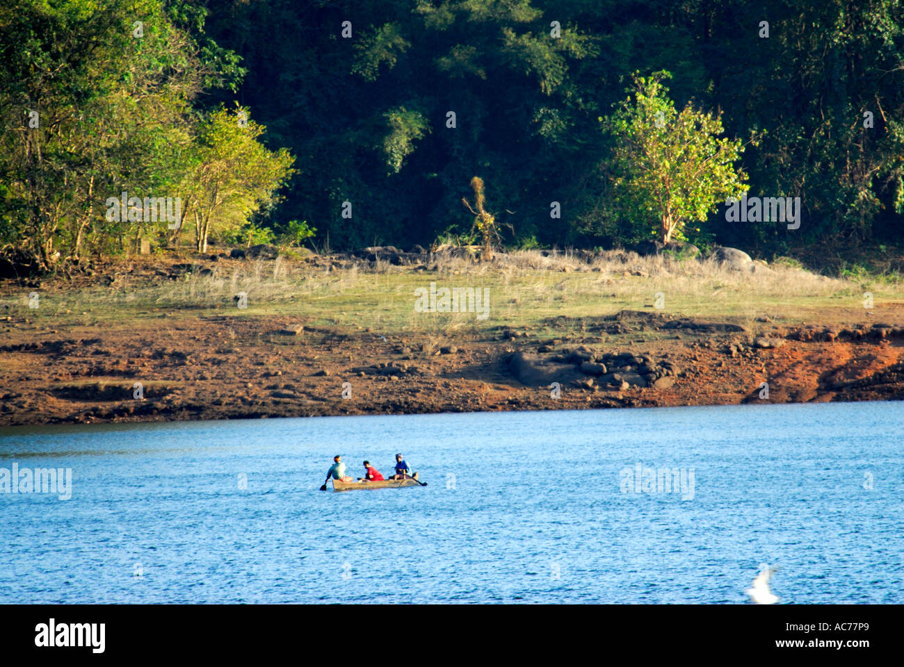 Peechi wildlife sanctuary hi-res stock photography and images - Alamy