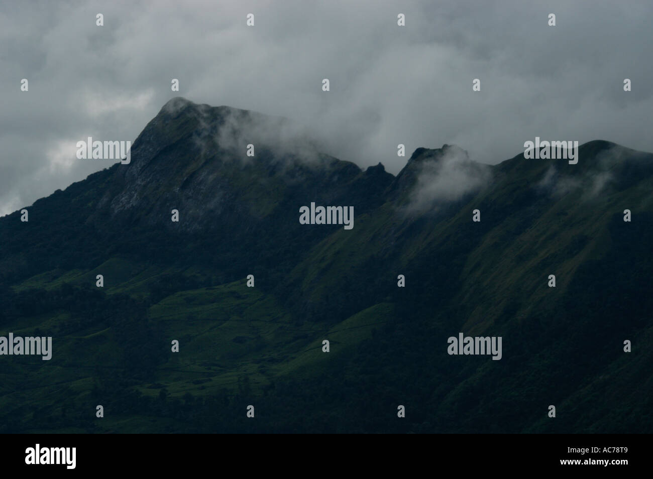 Kerala monsoon landscapes hi-res stock photography and images - Alamy
