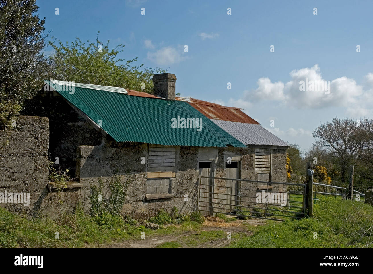 Cow shed hi-res stock photography and images - Alamy