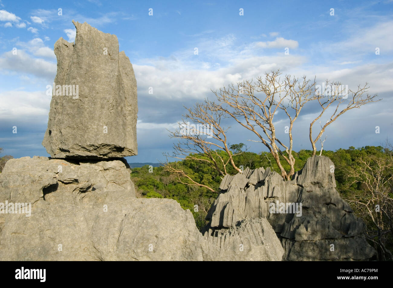 Eroded Limestone Landscape, or Tsingy, Ankarana National Park ...