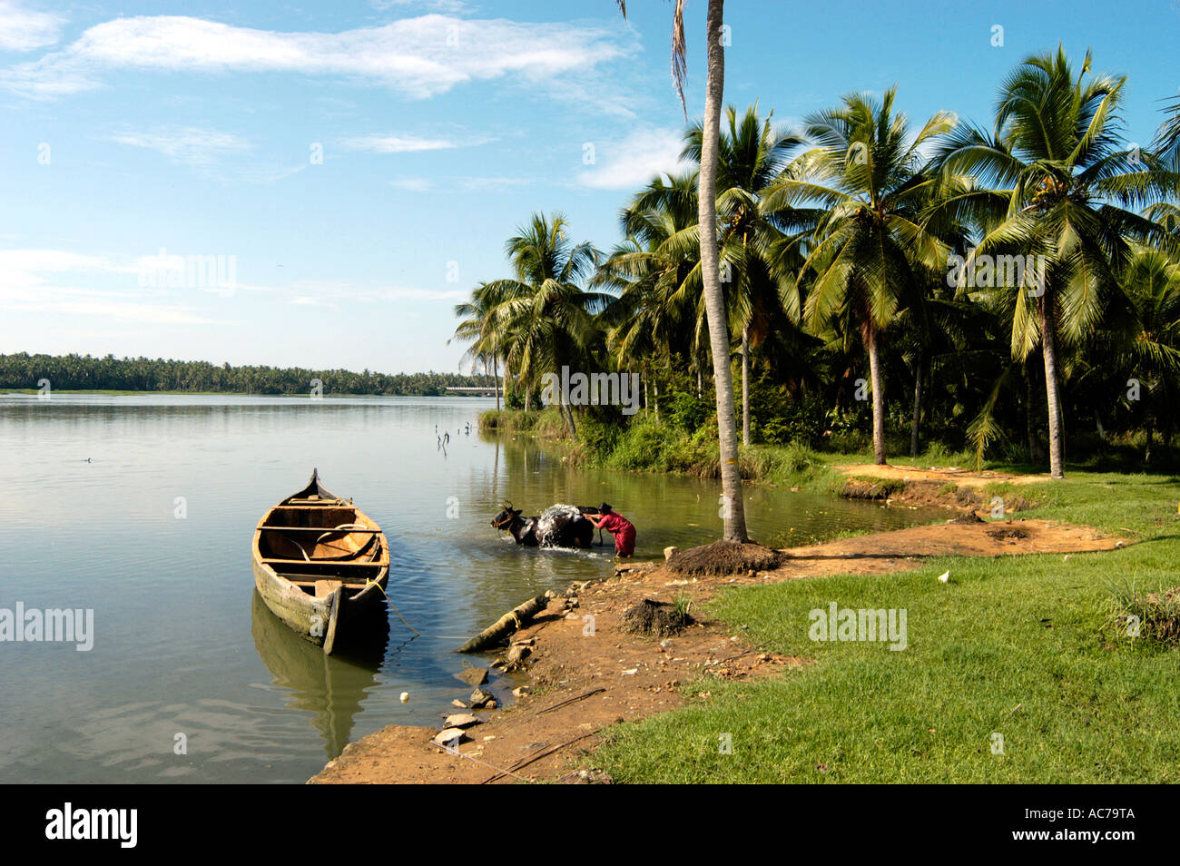 BACKWATERS OF AKKULAM NEAR TRIVANDRUM Stock Photo - Alamy
