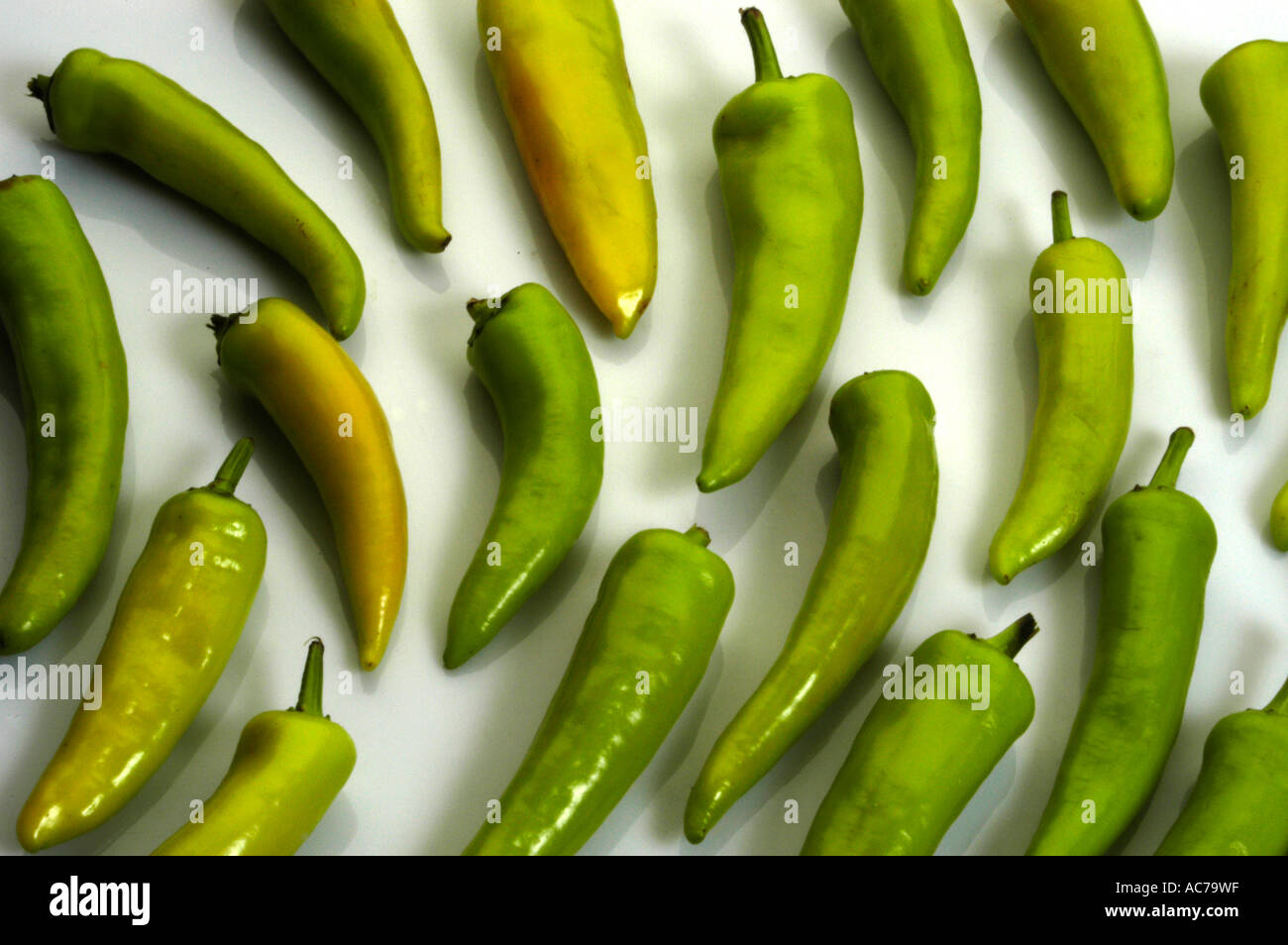 GREEN CHILLIES, VEGETABLE DISPLAY Stock Photo - Alamy