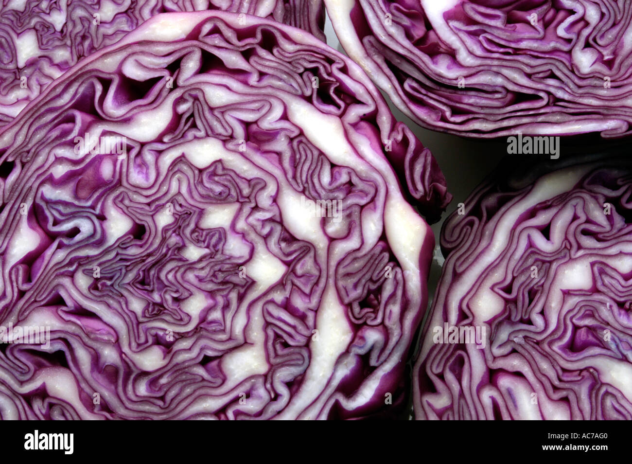 CROSS SECTION OF CABBAGE APPEARING LIKE PART OF BRAIN Stock Photo - Alamy