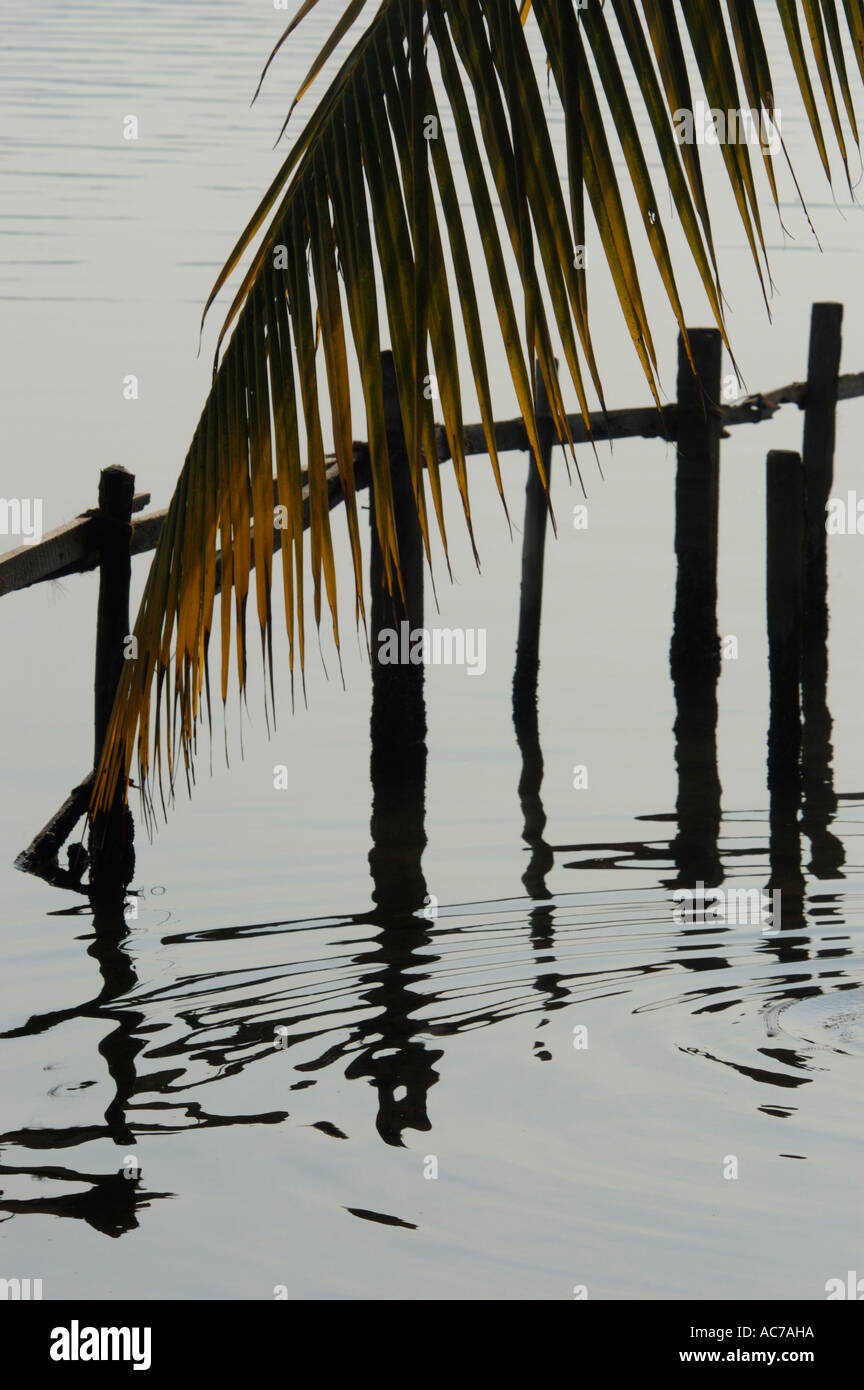 Coconut fences hi-res stock photography and images - Alamy