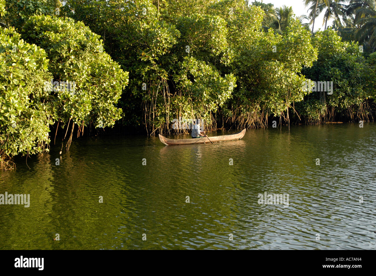 Kumbalangi village hi-res stock photography and images - Alamy