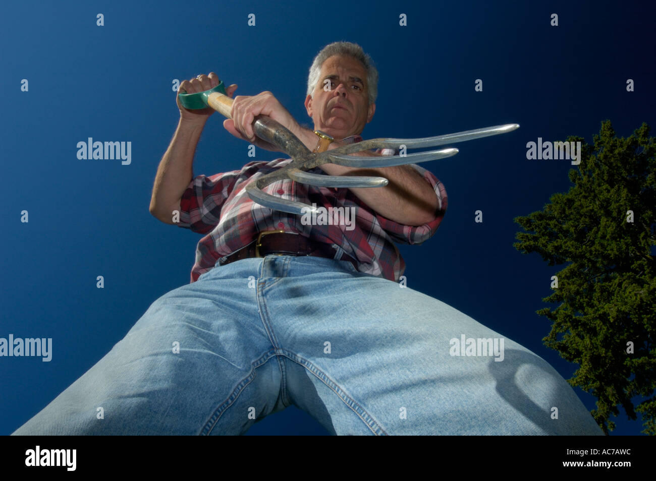 Worm's-eye view of a gardener, digging with a fork Stock Photo - Alamy