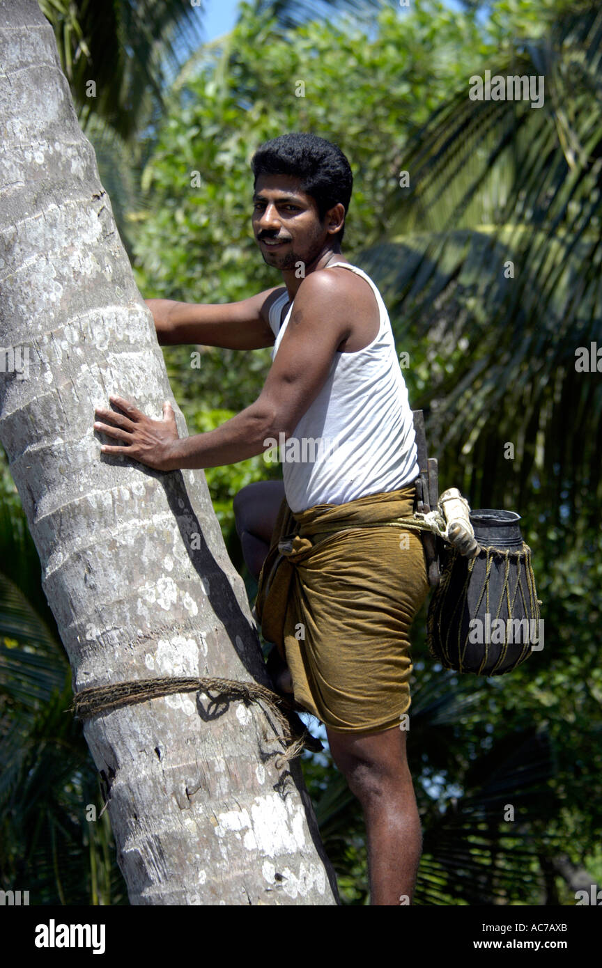 Toddy tapper hi-res stock photography and images - Alamy